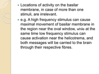 Encoding of frequency and volley theory | PPTX