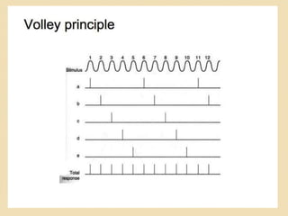 Frequency Theory Psychology