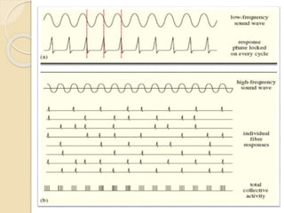 Frequency Theory Psychology