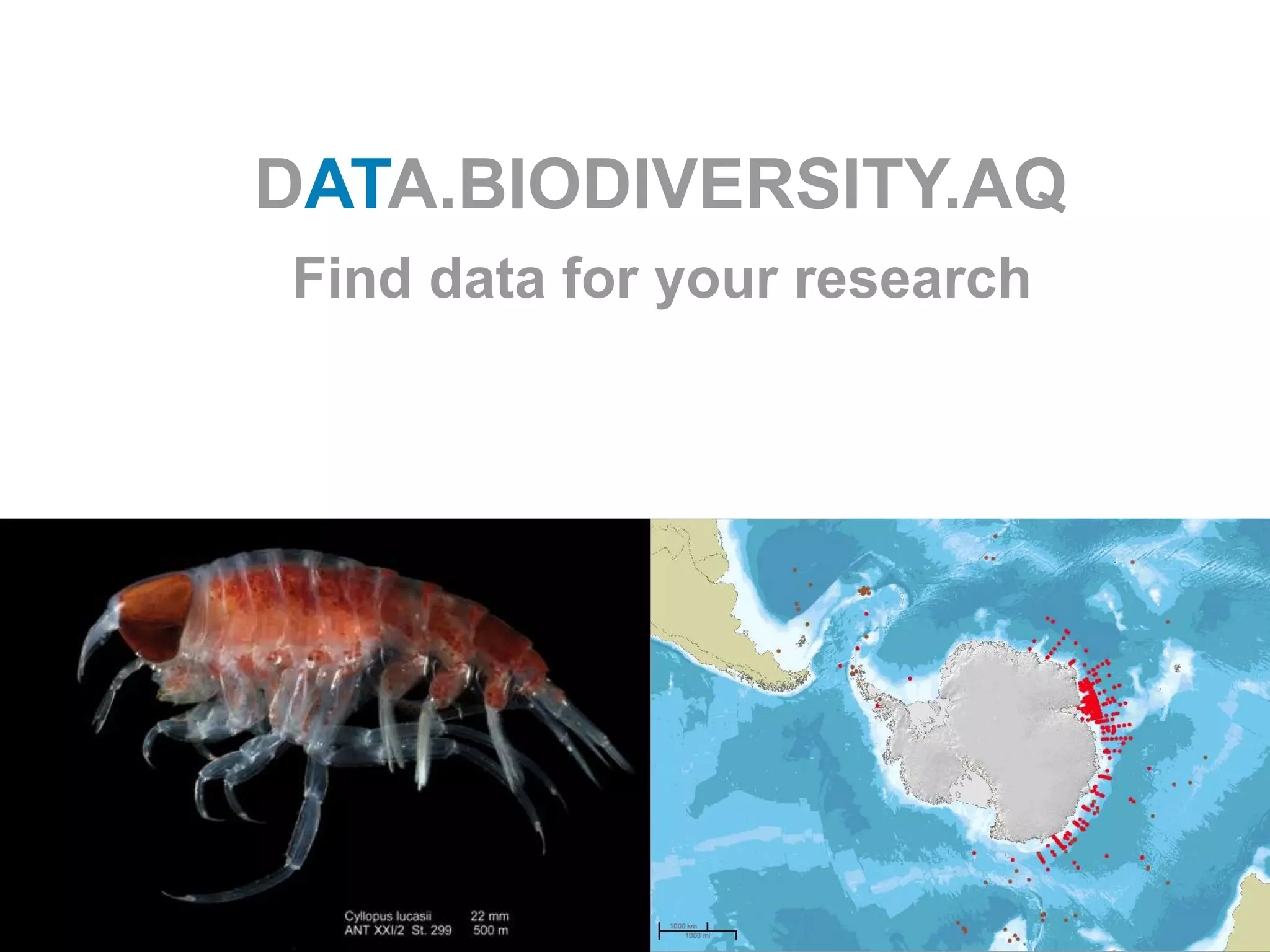Biodiversity informatics for Polar Regions - how to transform data into ...