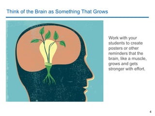 Encouraging A Growth Mindset | PPTX