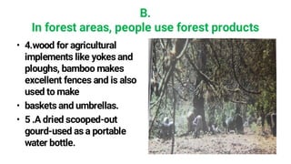 Class 9 | PDF