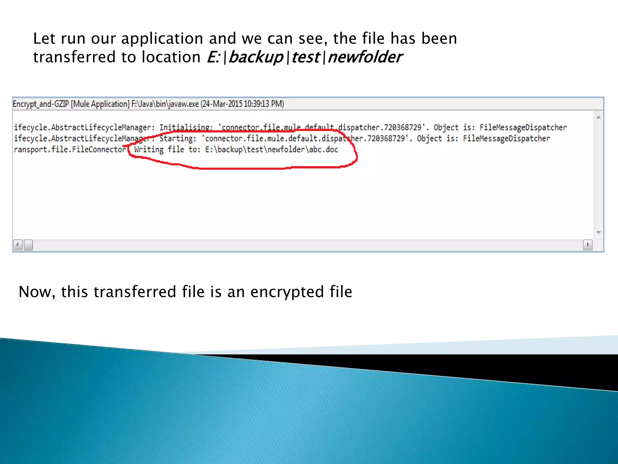 Encrypting/Decrypting mule | PPT