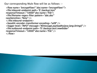 Encrypting/Decrypting mule | PPT