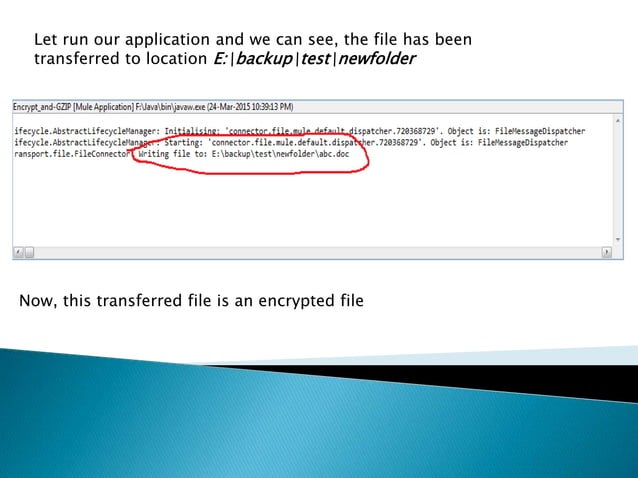 Encrypting/Decrypting mule | PPT