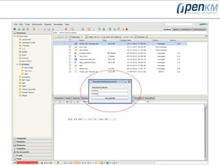 OpenKM Professional Extension: Cryptography | PDF