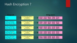 Encryption | PPTX | Internet | Computing