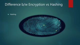 Encryption | PPTX