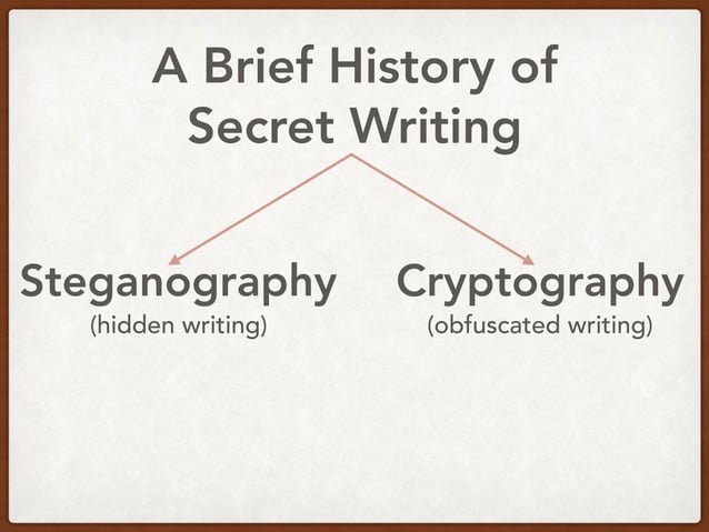 A Brief History of Secret Writing | PDF | Programming Languages | Computing