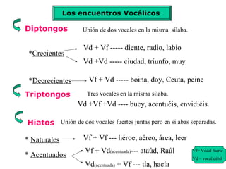 Encuentros Vocálicos y partición silábica | PPS