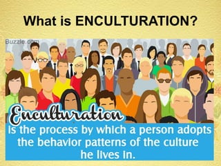 Enculturation