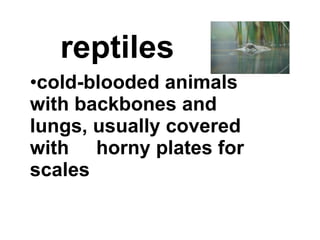 Encyclopedia Brown | PPT