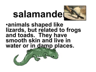 Encyclopedia Brown | PPT