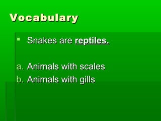 Encyclopedia Brown and the Case of the Slippery Salamander | PPT