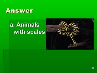 Encyclopedia Brown and the Case of the Slippery Salamander | PPT