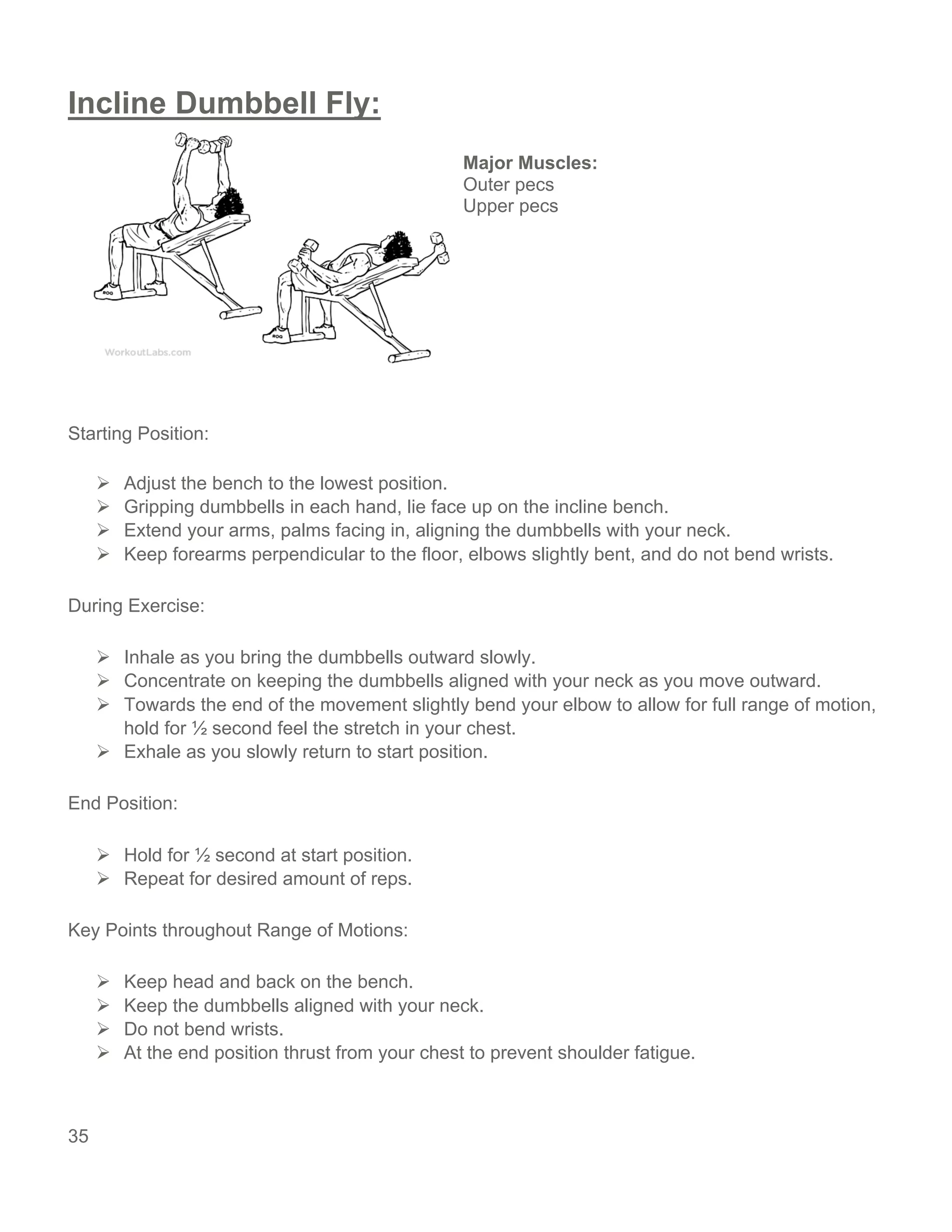 Encyclopedia of exercise 2.0 | PDF