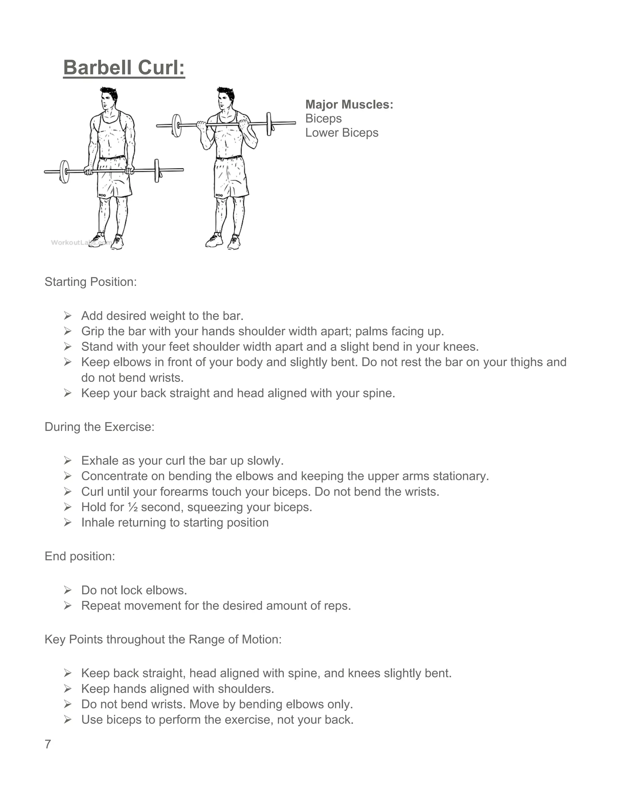 Encyclopedia of exercise 2.0 | PDF