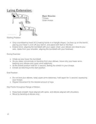 Encyclopedia of exercise 2.0 | PDF