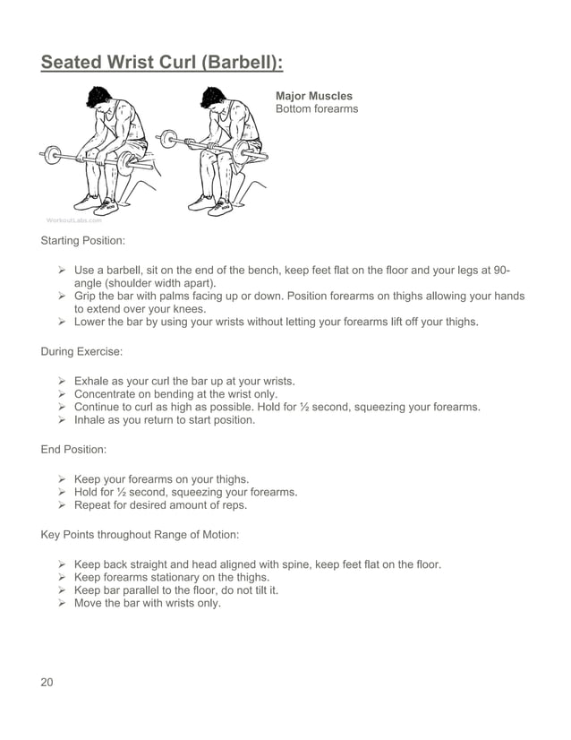 Encyclopedia of exercise 2.0 | PDF | Physical Therapy | Wellness