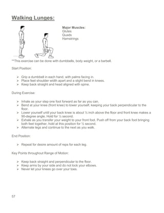 Encyclopedia of exercise 2.0 | PDF