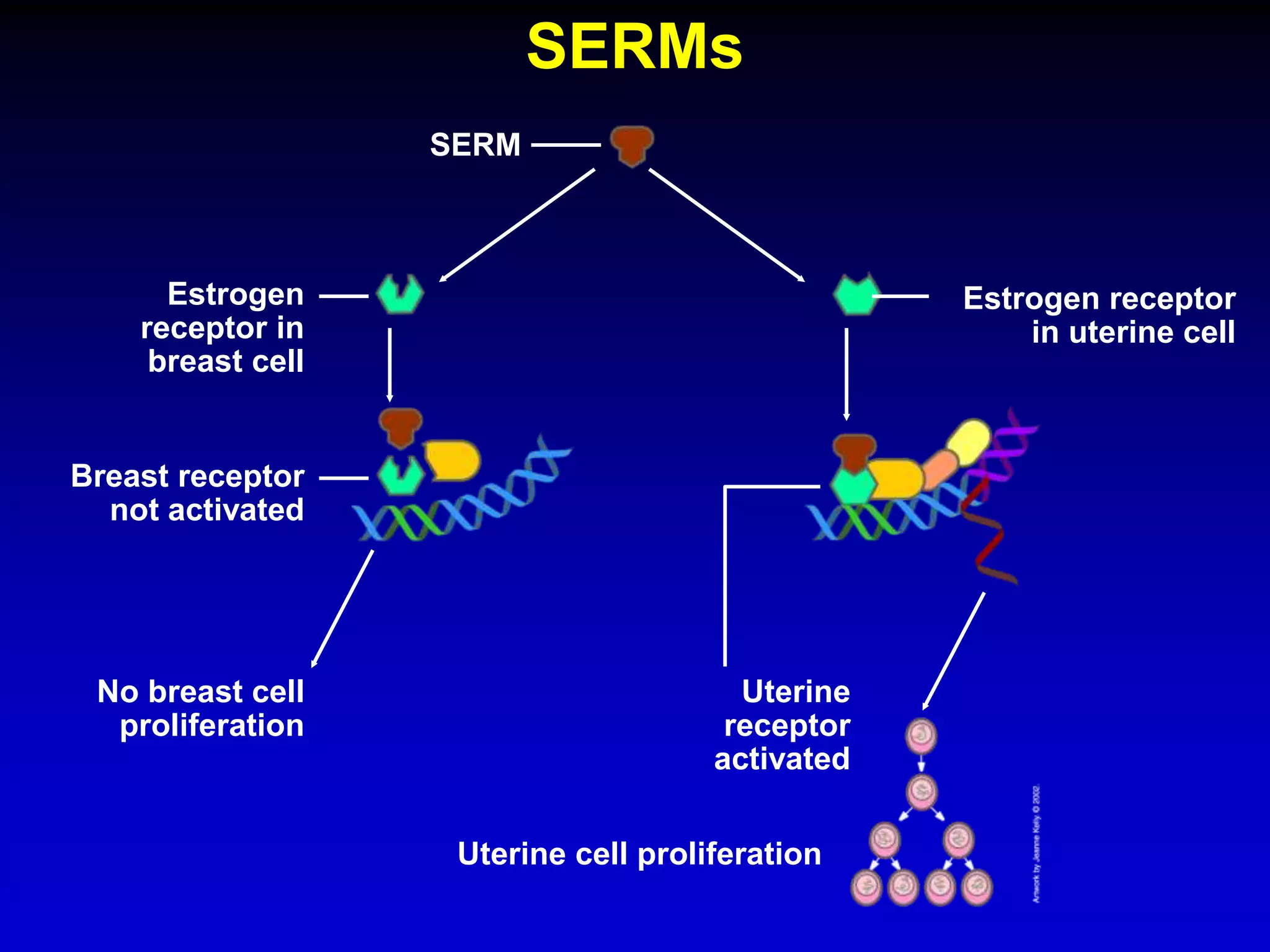 Endocrine therapy in breast cancer | PPTX