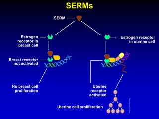 Endocrine therapy in breast cancer | PPTX