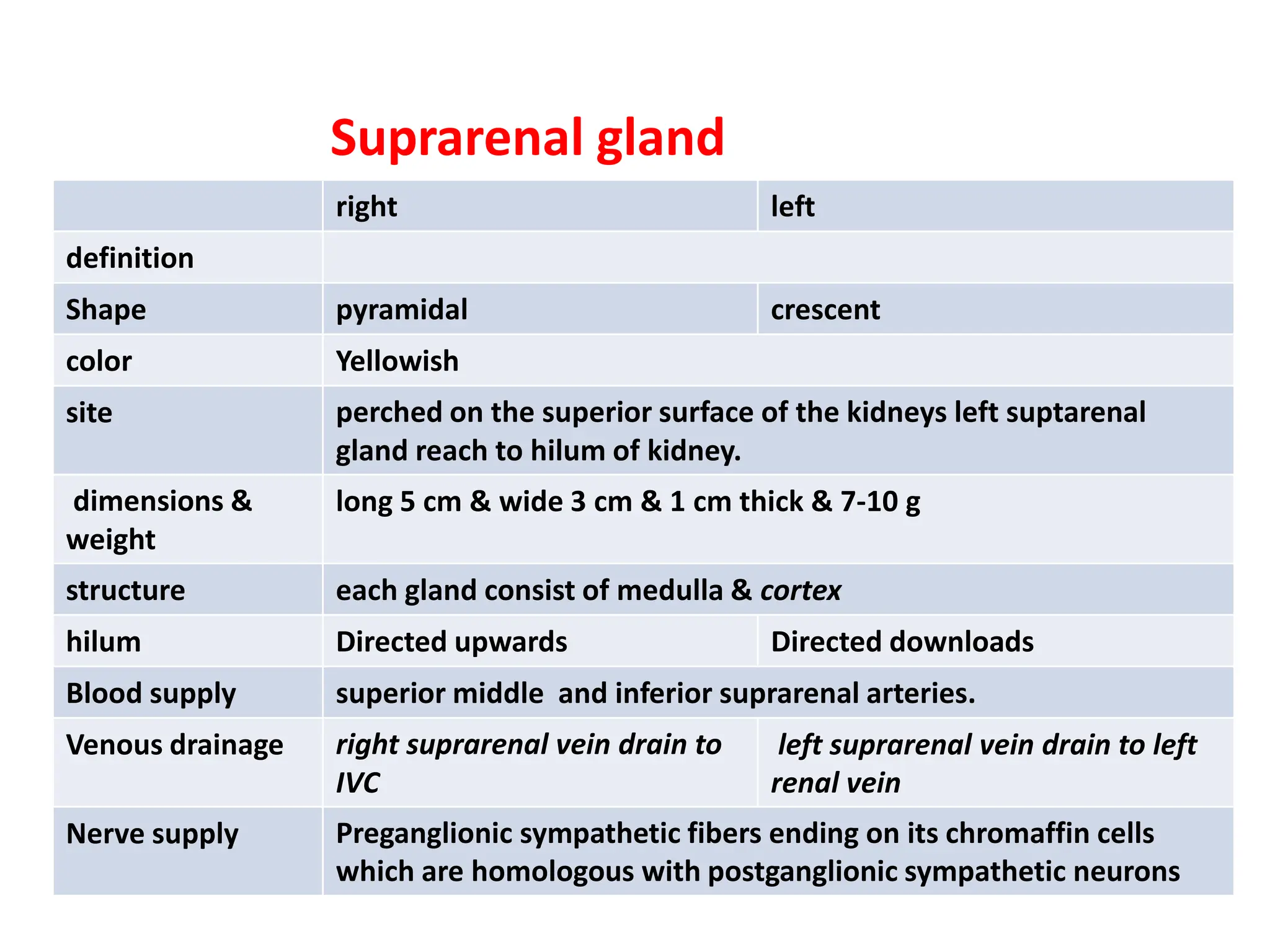 endocrine system ductless glands ppt .pptx