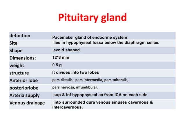endocrine system ductless glands ppt .pptx