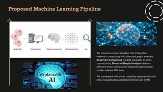 End-to-End Stroke Imaging Analysis Using Effective Connectivity and Interpretable Artificial ...