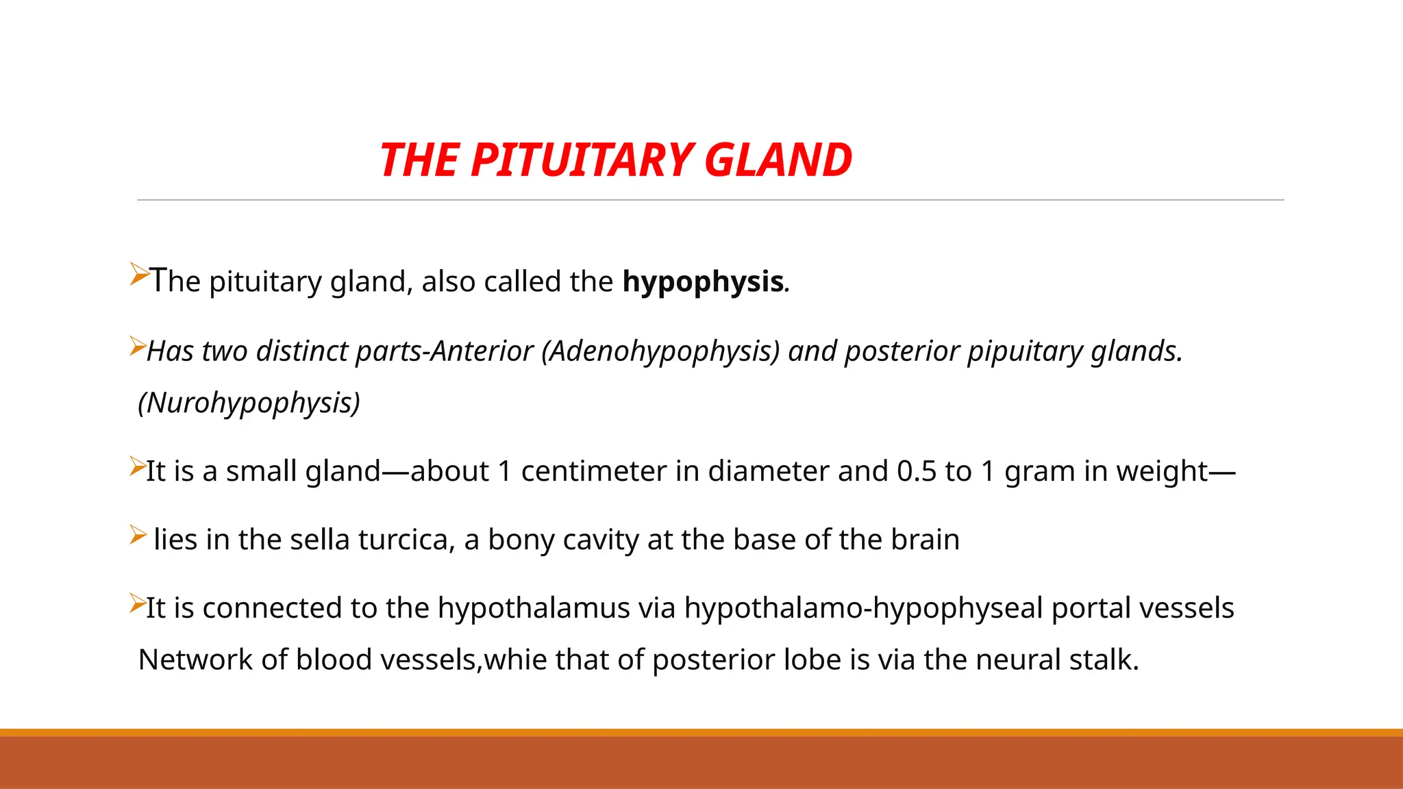relationship btwn ant pit and hypothalamus | PPTX