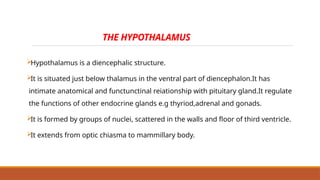 relationship btwn ant pit and hypothalamus | PPT | Free Download
