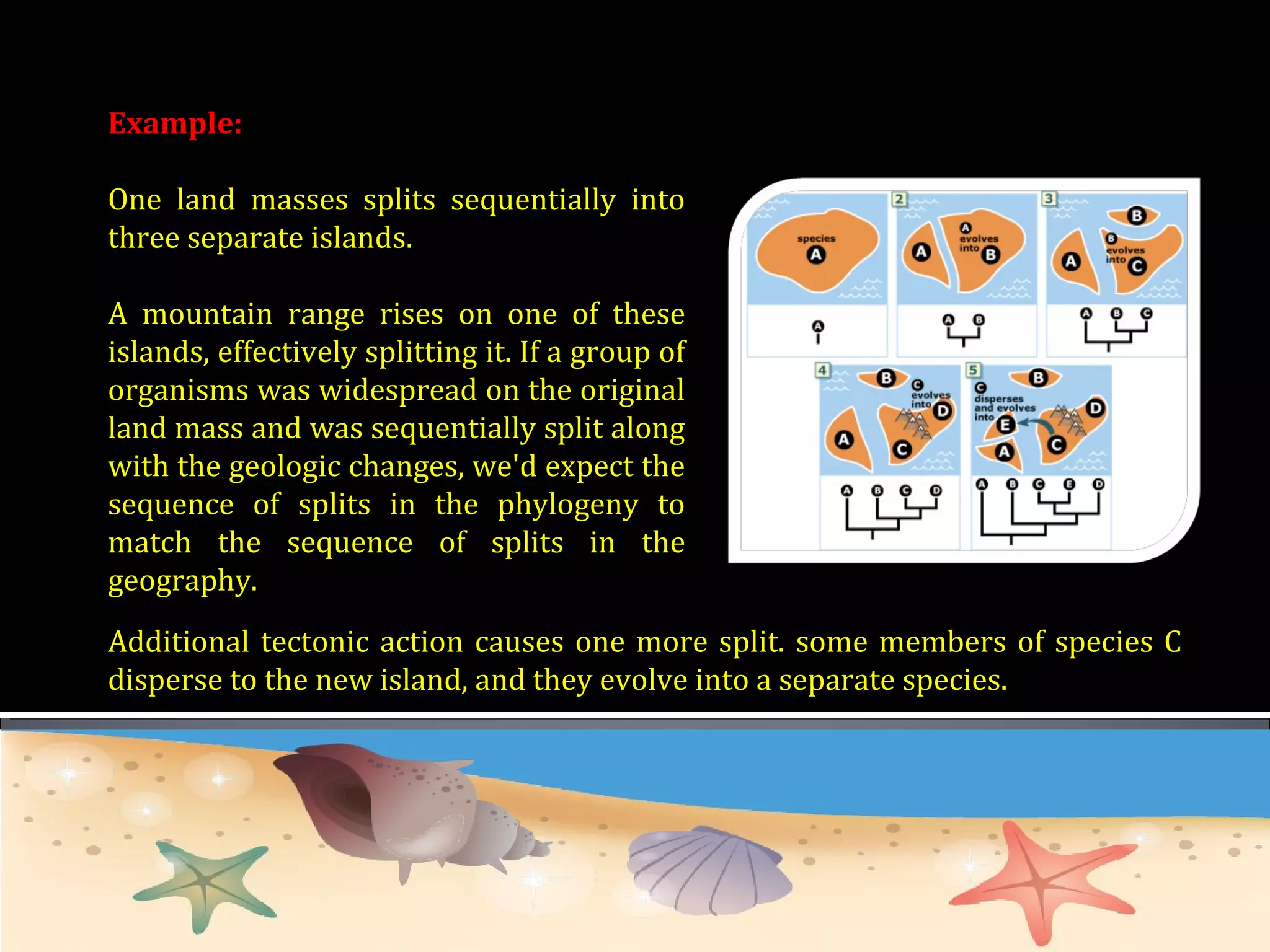 En danger and treatened | PPT