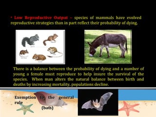 En danger and treatened | PPT