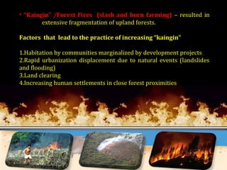 En danger and treatened | PPT