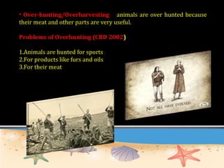 En danger and treatened | PPT