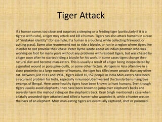 TIGER ENDANGERED | PPTX