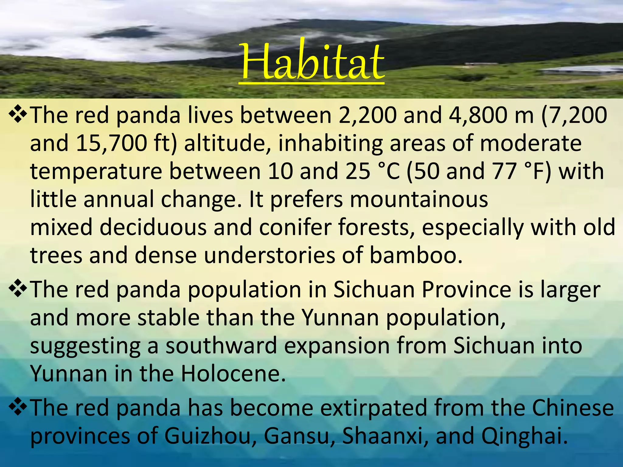 PPT On Endangered Animal Red Panda | PPTX