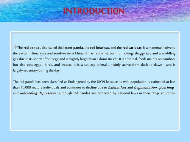 PPT On Endangered Animal Red Panda | PPTX