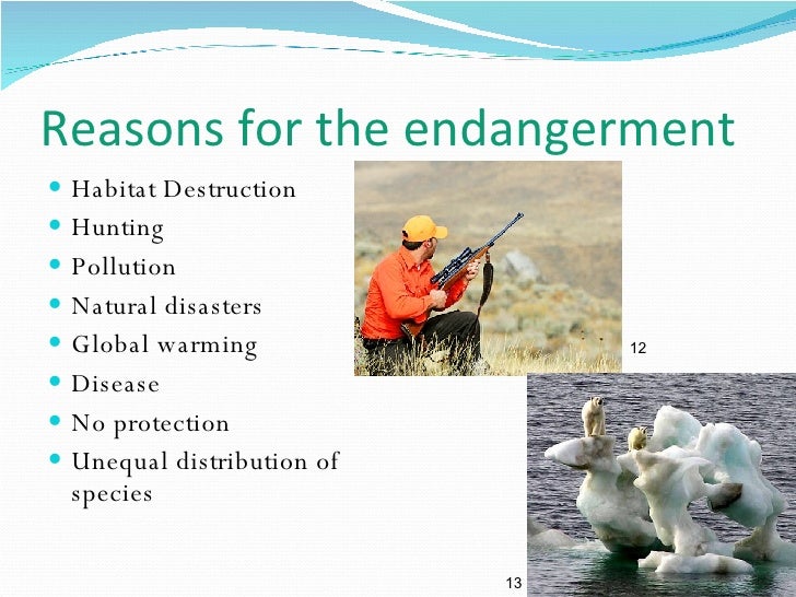 0647685 - Endangered Animals