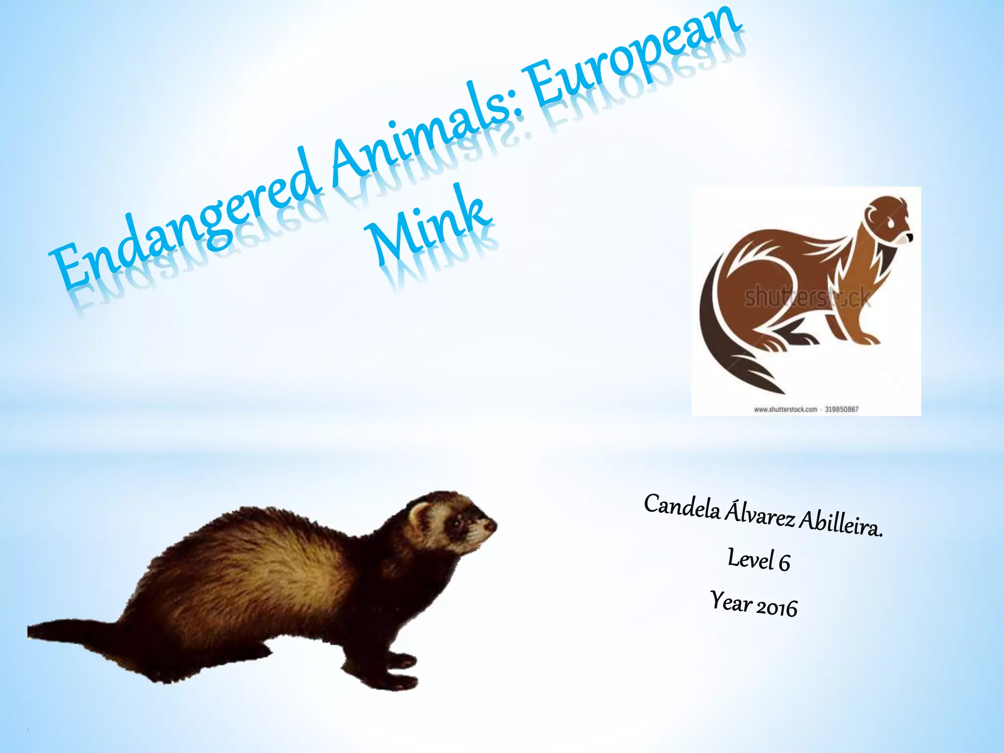 Endangered animals: European Mink | PPTX