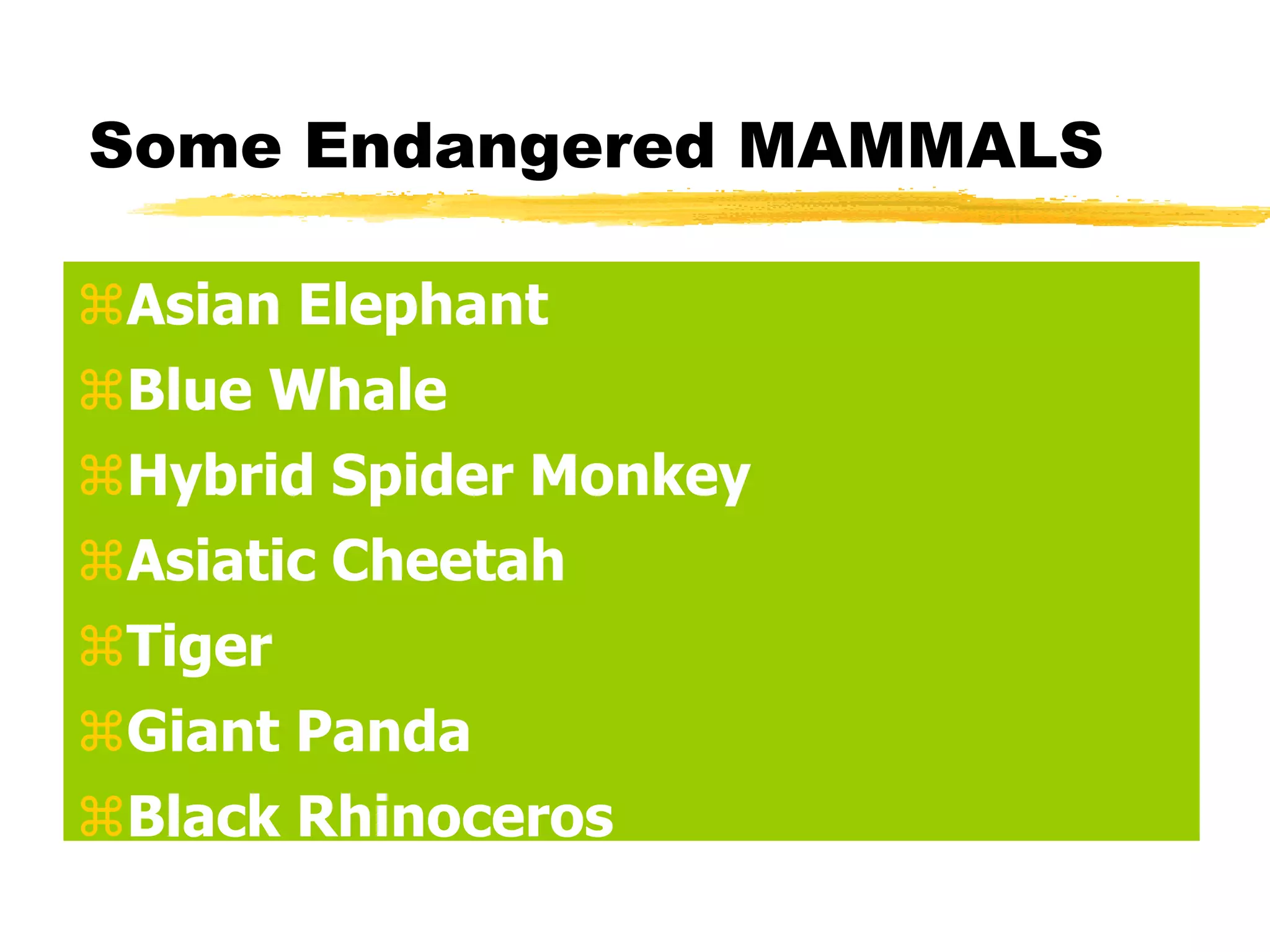 Endangered Animals | PPT