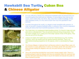 Endangered Animals | PPT