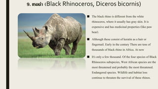 Endangered species-around-the-world | PPTX