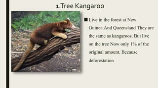 Endangered species-around-the-world | PPTX