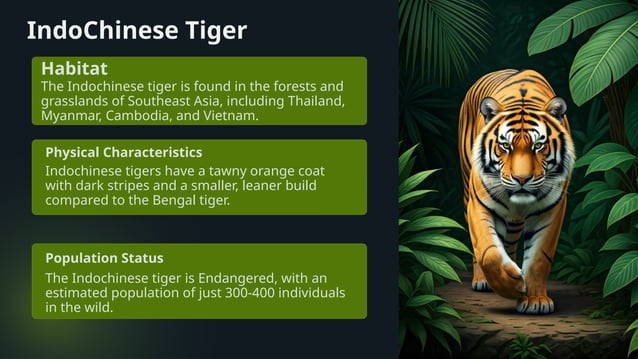 Endangered-Species- Save- The Tiger .pptx