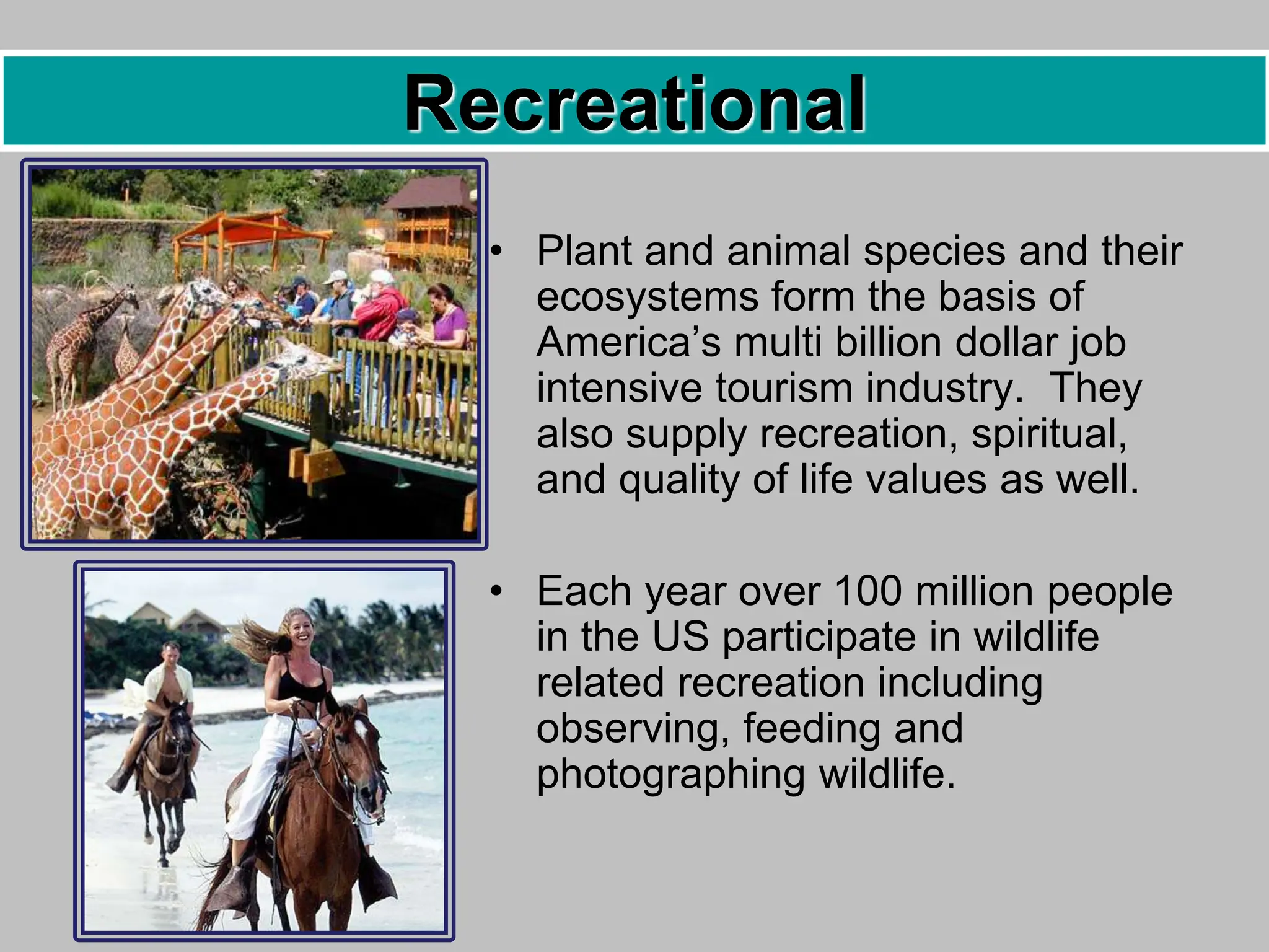 Endangered-Species (1).ppt | Zoos & Aquariums | Attractions
