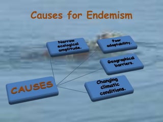 Endangered and endemic species. | PPTX