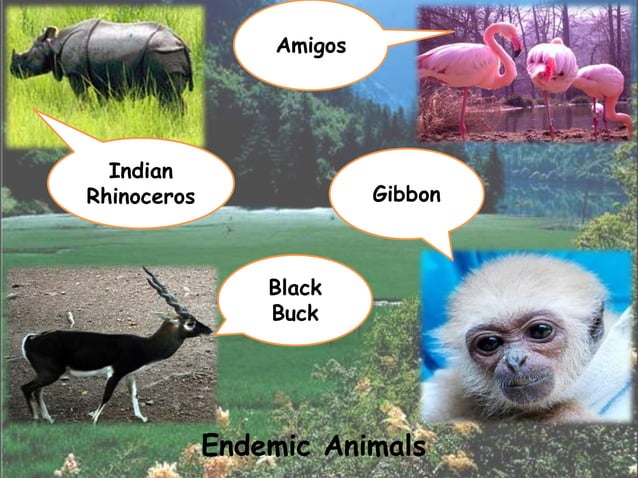 Endangered and endemic species. | PPTX | Geography | Science