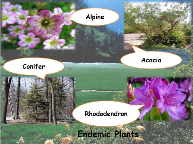 Endangered and endemic species. | PPTX | Geography | Science