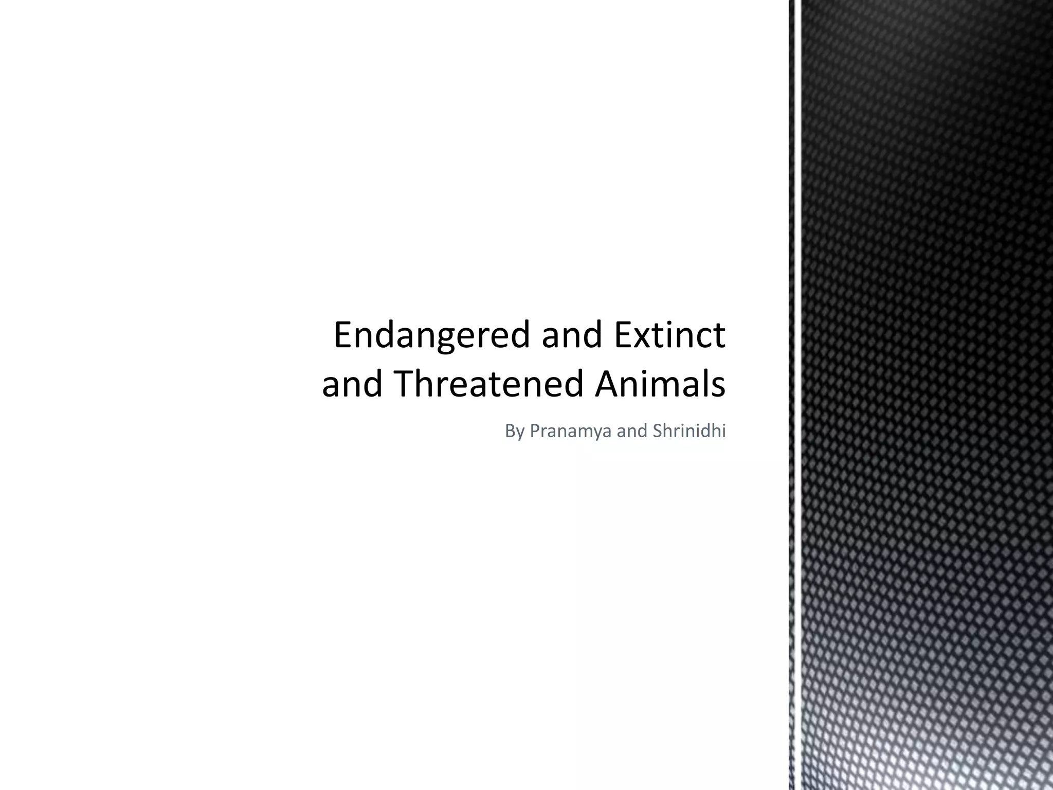 Endangered and extinct | PPT